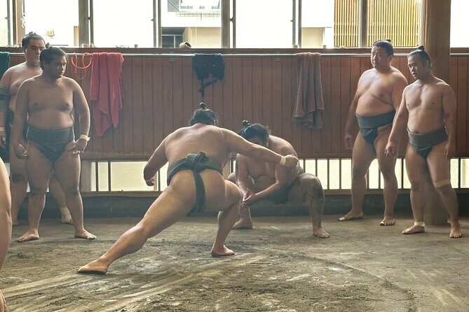 Tokyo: Visit Sumo Morning Practice with English Guide - What We Loved & What to Consider
