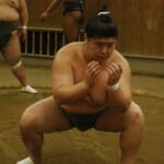 Tokyo: Visit To Sumo Stable & Watch Morning Practice - The Practical Details