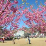 Tokyo: West Izu Day Trip - Why This Tour Offers Great Value