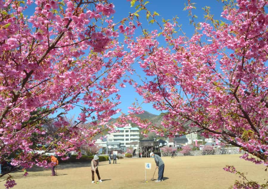 Tokyo: West Izu Day Trip - Why This Tour Offers Great Value