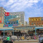 Tokyo Wheelchair-Friendly Custom Day Tour: Asakusa, Tsukiji - Practical Details and Value