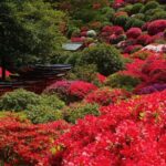 Tokyo: Yanaka and Ueno, the Tokyo of Tradition - Yanaka: Stepping Back in Time