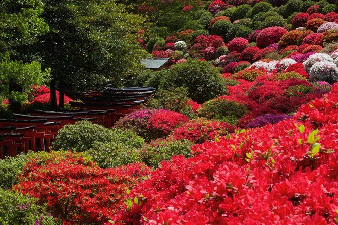 Tokyo: Yanaka and Ueno, the Tokyo of Tradition - Yanaka: Stepping Back in Time