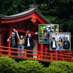 Tokyo: Yanesen Cultural & Hidden Gems Guided Walking Tour - Strolling Yanaka District and Shopping at Yanaka Ginza