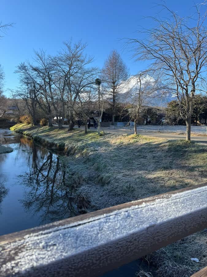 Tokyo/Yokohama: Mount Fuji & Hakone Private Full-Day Tour - What Makes This Tour Stand Out