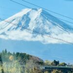 Tokyo/Yokohama: Mt. Fuji and Hakone Private Day Trip - Authentic Experiences and Worthwhile Moments