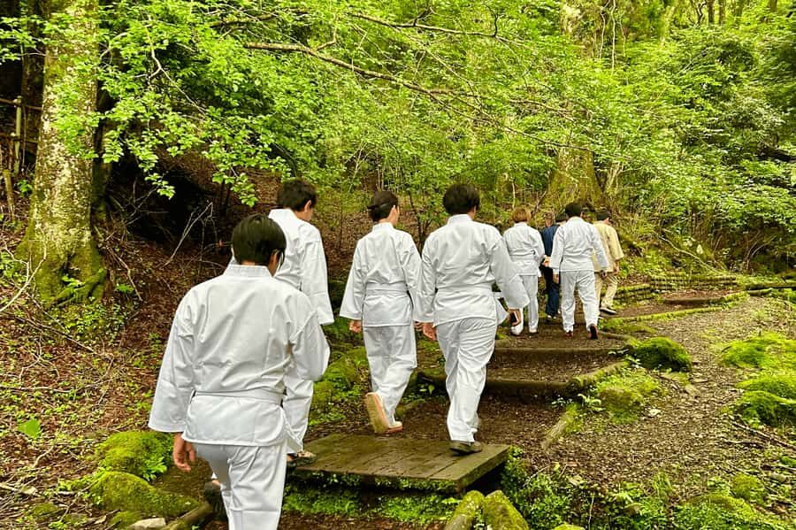 Tokyo: Yuhi no Taki Waterfall Meditation Experience - Itinerary Breakdown