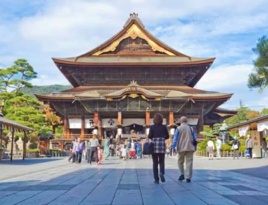 Tokyo:Nagano Snow Monkey Private Day Trip with English Guide - Value and Practical Details