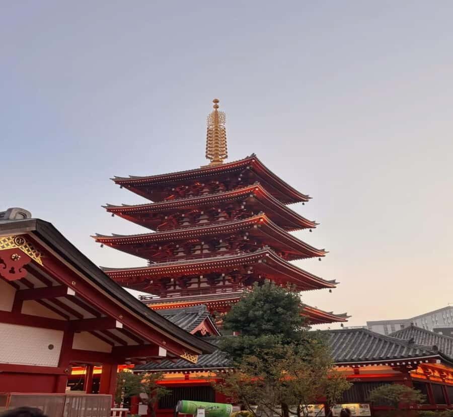 Tokyo:Private Custom Tour History, Art & Iconic Landmarks - The Magic of Animation at Studio Ghibli Museum