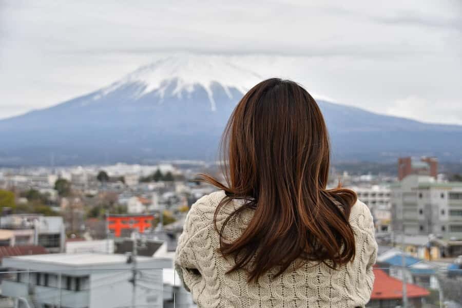 Tokyo:Private Tour to Mount. Fuji + Hakone W/ Driver - Practical Details and Considerations