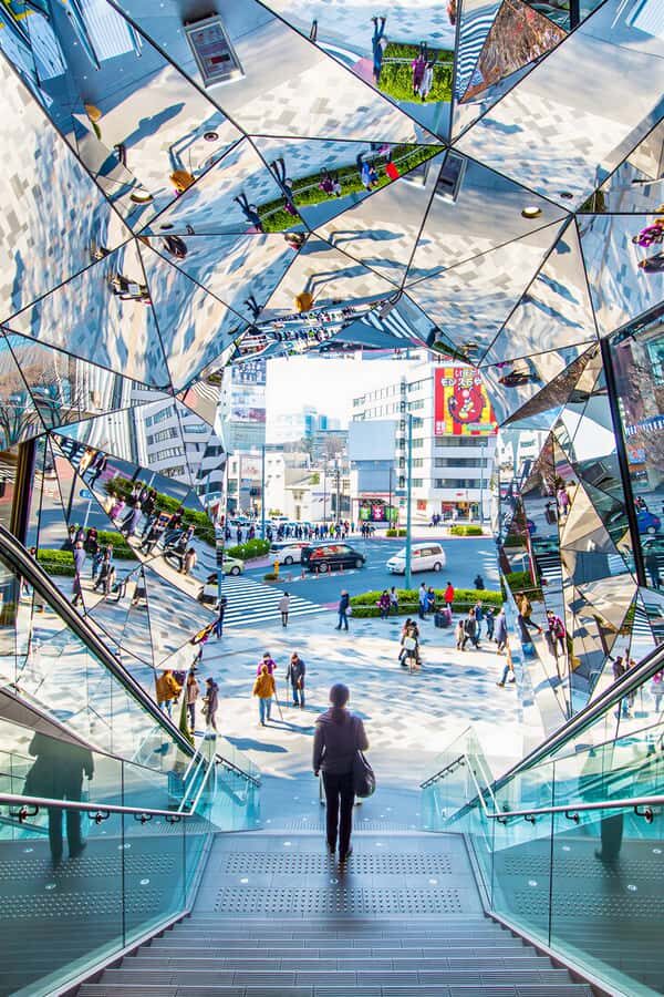 Tokyo's Contrasts: 9-Hour Guided Cultural Journey - Why This Tour Stands Out