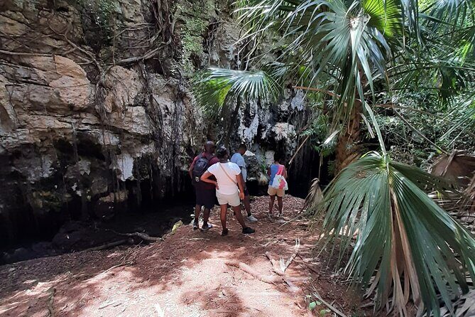 Tom Moores Jungle and Eco Tour - Who Should Consider This Tour?