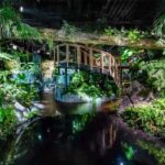 Tomigusuku: DMM Kariyushi Aquarium Admission - Who Would Enjoy This Experience?