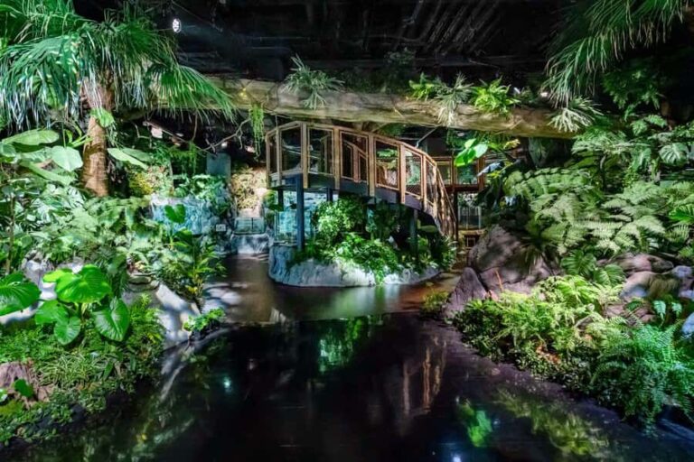 Tomigusuku: DMM Kariyushi Aquarium Admission - Who Would Enjoy This Experience?