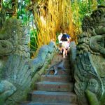 Top Highlights Ubud Private Day Tour - Transportation and Duration