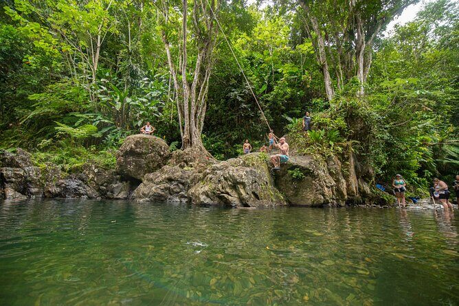 Top Rated El Yunque Rainforest & Waterslide  SmallGroup Tour - Review Highlights from Fellow Travelers