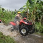 Top Rated Ubud ATV: 350 CC, longest elephant cave tunnel, tours. - FAQ