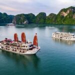 Top Tier: All-Inclusive OVERNIGHT Halong Cruises - many options - The Itinerary in Detail