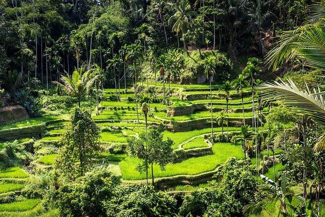 Top Ubud Attractions: Private Full-Day Guided Tour - Practical Details and Value