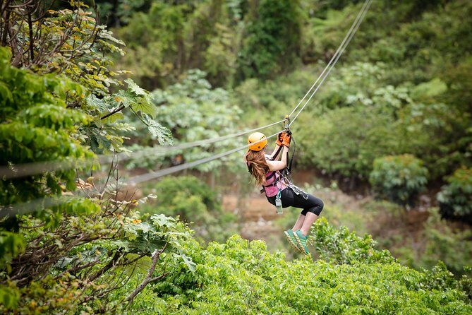 Toro Verde 7-Zipline Tour Plus the Monster with Transport - The Bottom Line
