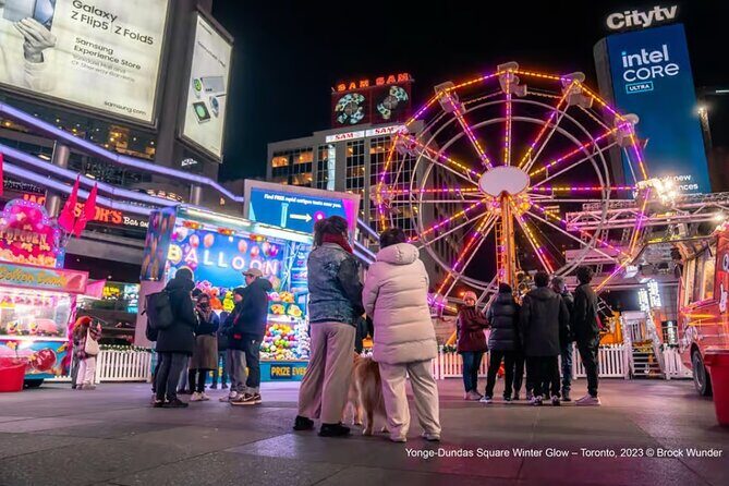 Toronto Holiday Lights Bus Tour - Who Should Consider This Tour?