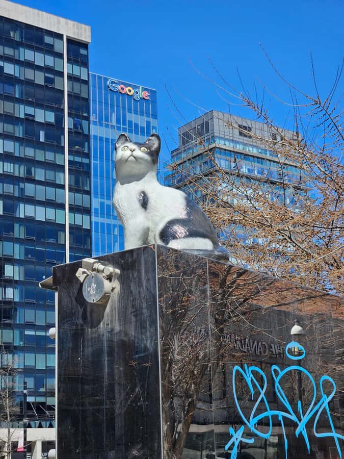 Toronto: Private Walking Tour of City Highlights - What Makes This Tour Valuable