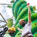 ToroRoller - Key Points