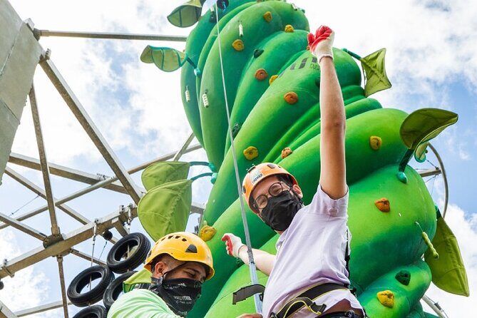 ToroRoller - Key Points