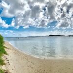 Tortola Private Tour and Snorkeling in the most beautiful beaches - Final Thoughts