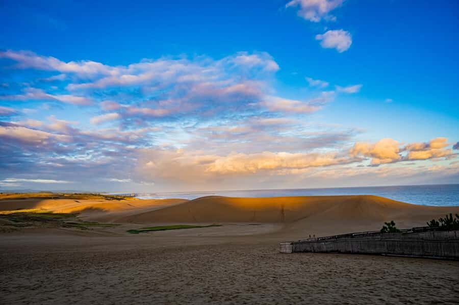 Tottori: Guided Walk through the Tottori Sand Dunes - The Itinerary: A Closer Look