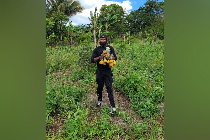 Tour a Jamaican Farm - Authenticity and Real-World Farming
