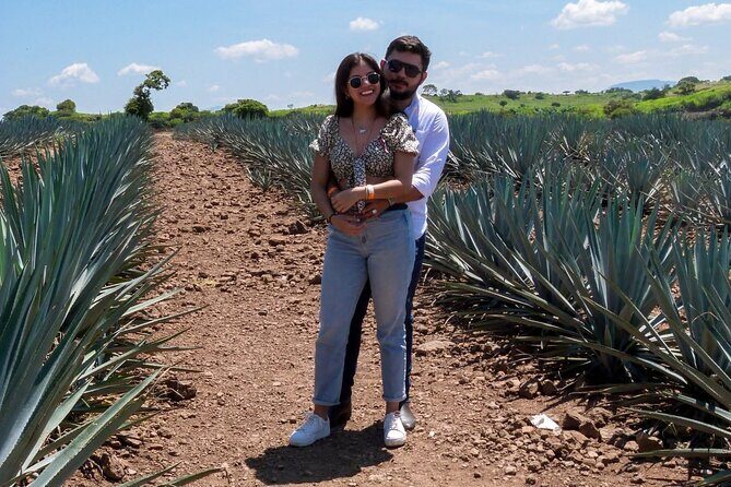 Tour and Tequila Tasting - Transport and Practicalities