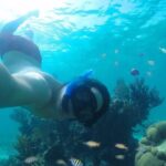 Tour Cozumel Island + Snorkel + Beach + Buggy + Lunch - What You’ll Experience: A Detailed Breakdown