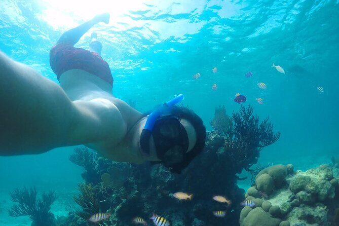 Tour Cozumel Island + Snorkel + Beach + Buggy + Lunch - What You’ll Experience: A Detailed Breakdown