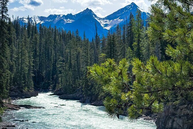 Tour Experience in Banff and Yoho National Parks - The Sum Up