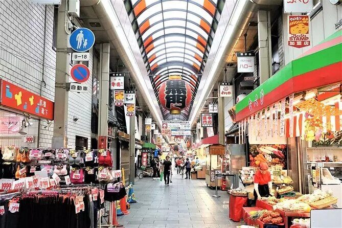 Tour Famous Spots in Osaka by Private Car - Who Will Love This Tour?