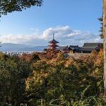 Tour in Kyoto with a Goverment Certified Tour Guide - Who Should Consider This Tour?