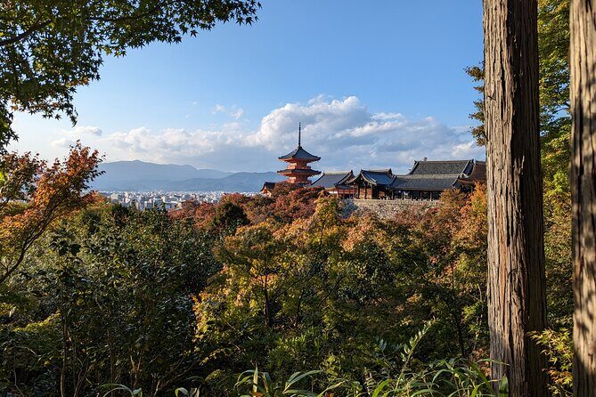 Tour in Kyoto with a Goverment Certified Tour Guide - Who Should Consider This Tour?