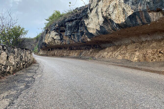 Tour in North and South Bonaire Guided - The Itinerary: A Closer Look