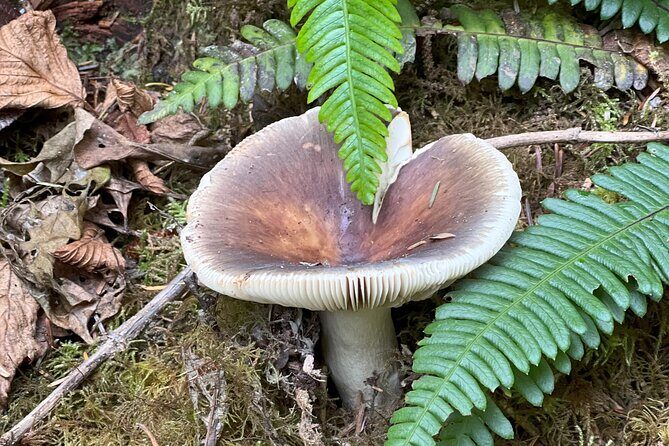 Tour of Fort Clatsop, Youngs River Falls & Warrenton Countryside - Additional Considerations and Practical Details