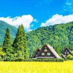 Tour to Hida Takayama and Shirakawa-go Gassho Village from Nagoya - Authentic Experiences and What Travelers Say