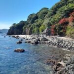 Tour to Rincon de Guayabitos with Coral Island Visit - Authentic Traveler Experiences & Expectations