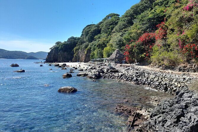 Tour to Rincon de Guayabitos with Coral Island Visit - Authentic Traveler Experiences & Expectations