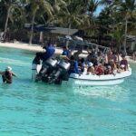Tour to Saona Island with Lunch and Transportation - The Experience from the Traveler’s Perspective