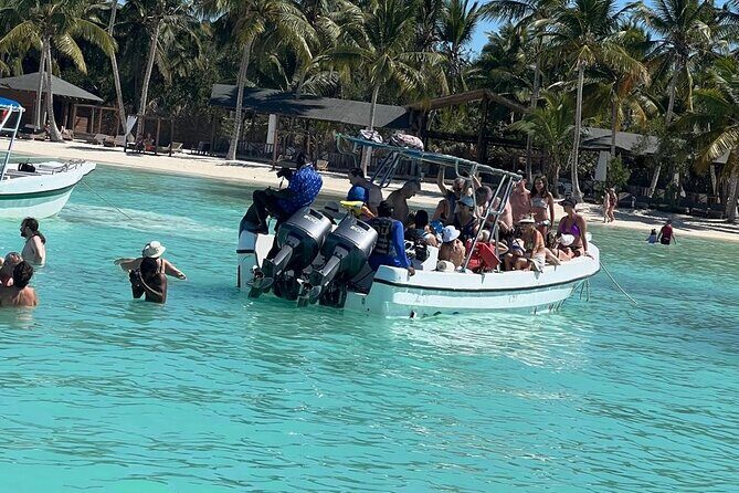 Tour to Saona Island with Lunch and Transportation - The Experience from the Traveler’s Perspective