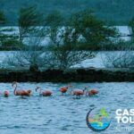 Tour to the best beaches; snorkel with fish and turtles - What’s Included and What’s Not