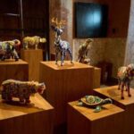 Tour Valladolid All Inclusive - Who Will Love This Tour?