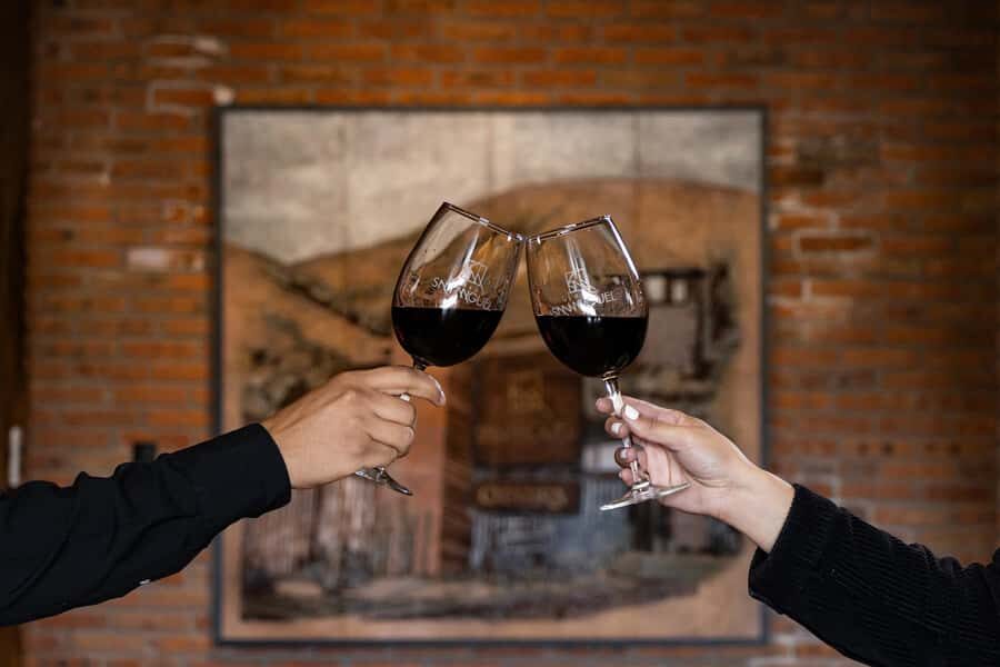 Tour & Wine Tasting at Viñedo San Miguel / San Bartolo Experience - Exploring the Itinerary and Setting