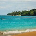 Tours to Saona Island - Authentic Feedback and Common Concerns