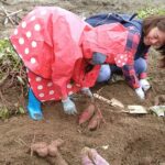 Toyota Green Life Experience Seasonal Farm with Farmers in Inabu - Is It Worth the Price?